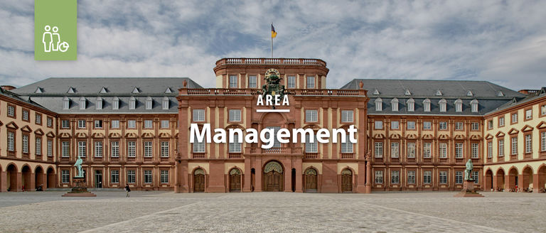 University of Mannheim Business School: Area Management